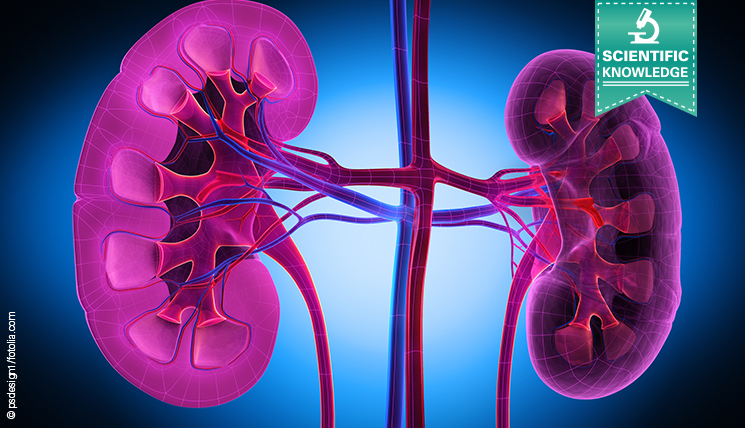 Anti-PLA2R: a serological marker for primary membranous nephropathy ...