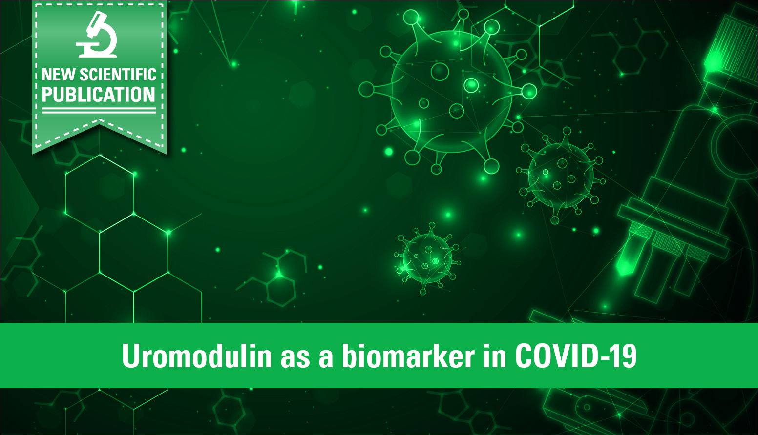 Serum uromodulin may indicate acute kidney injury in COVID-19 patients ...